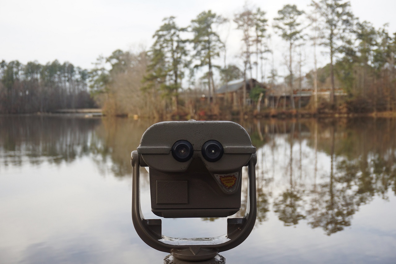 Discovering the Charm of the Historic Yates Mill: A Local's Guide